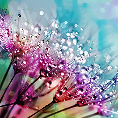 September Rain (Season 1) by Trading Gravity on Amazon Music - Amazon.co.uk