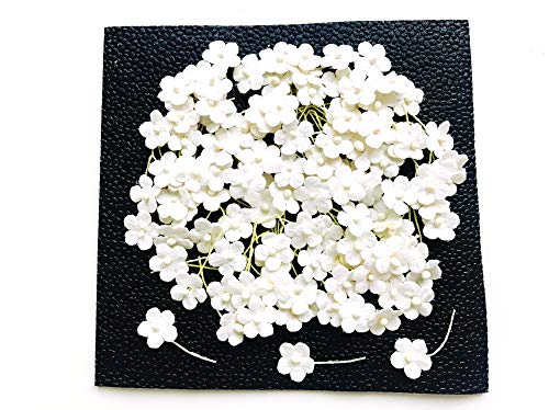 Best Tiny White Flower Bushes: Charming Mini Blooms for Decor and ...