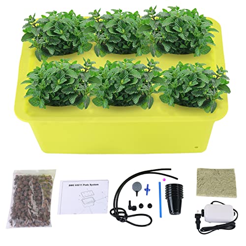 MYFULLY Hydroponic System Growing Kit | Plants Herb Garden Starter Set ...
