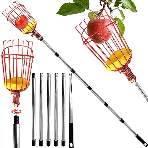 How to Pick Fruit from Tall Trees - Garden Apex