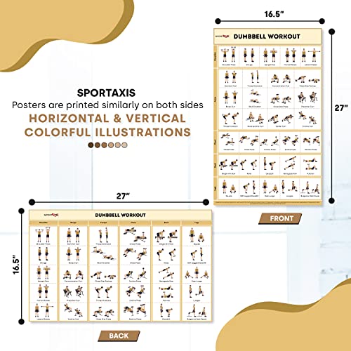 SPORTAXIS- No-Equipment Laminated Dumbbell Workout Poster with Colored ...