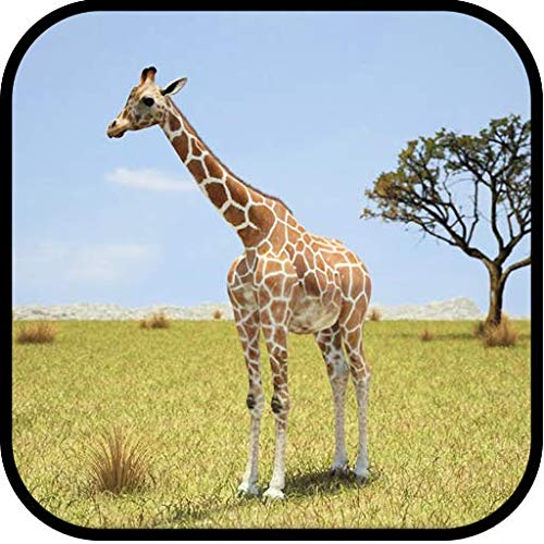 Giraffe Family Survival Simulator 3D - App on Amazon Appstore