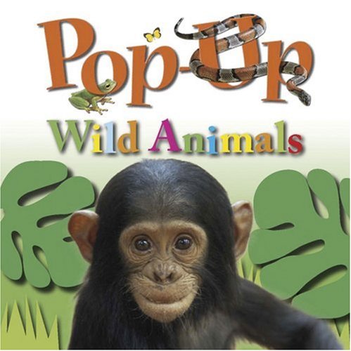 Amazon | Wild Animals | DK | Animals