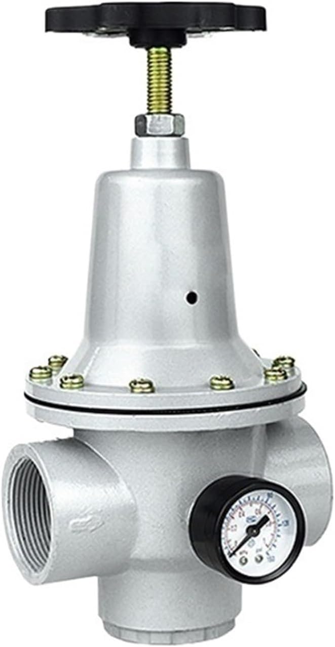 Amazon.com: AELATNGS Pneumatic QTY-40/50 pressure reducing valve ...