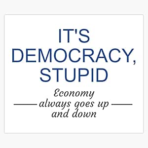 Amazon.com - It's Democracy, Stupid Sticker Bumper Sticker Vinyl Decal 5"