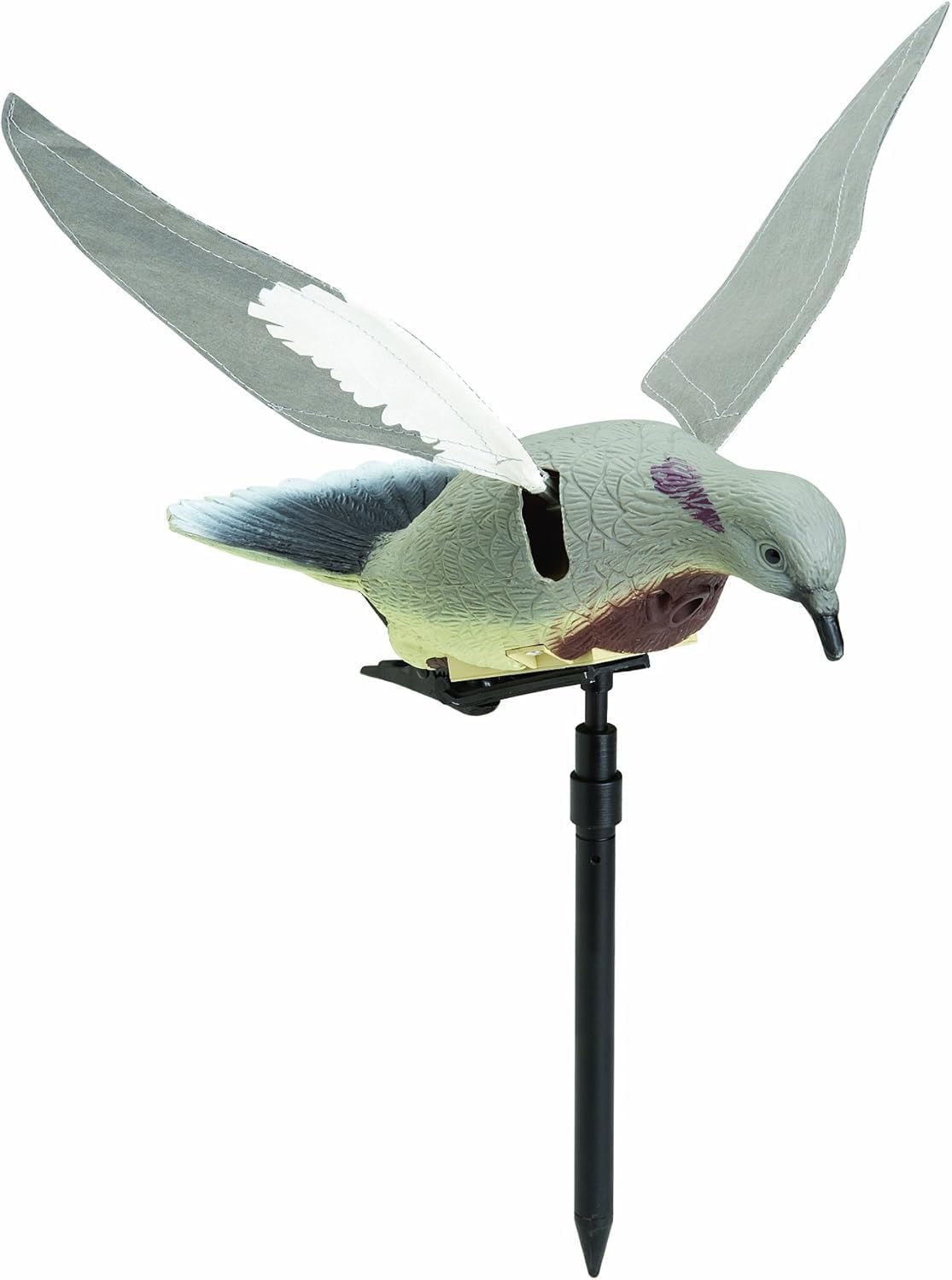 Snapklik.com : Rapid Flyer Dove Hunting Decoy