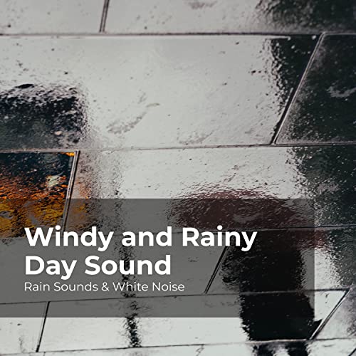 Windy and Rainy Day Sound von Rain Sounds & White Noise & Raindrops Sleep & Sleep Rain bei ...