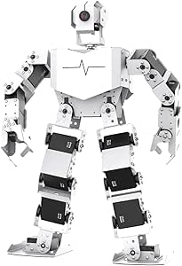 Amazon.com: HIWONDER AI Intelligent Visual Humanoid Robot Powered by ...
