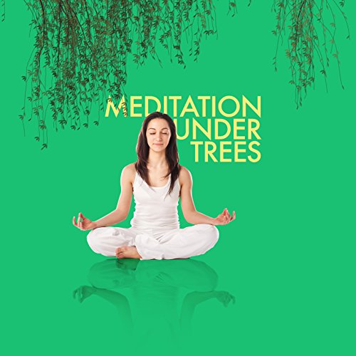 Meditation Under Trees : Meditation Sounds of Nature: Amazon.es ...