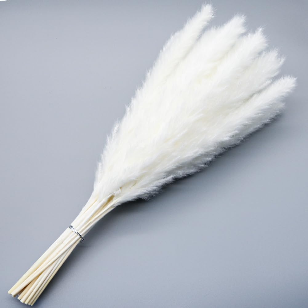 Amazon.com: 17 Inch Dried Pampas Grass, 30pcs White Small Pampas Grass ...