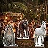 Amazon.com: EnjoyView Nativity Camel 1FT Life Size Cardboard Cutout ...