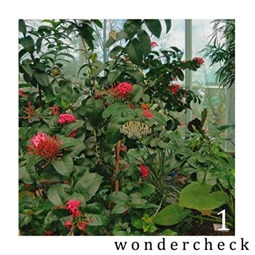 Play 1 by Wondercheck on Amazon Music