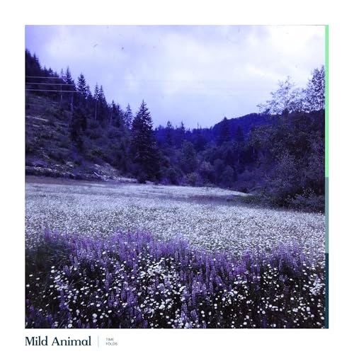 Play Time Folds by Mild Animal on Amazon Music Unlimited