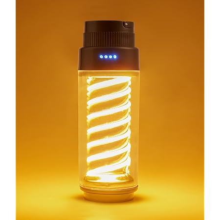 Outdoor Lantern Flashlight Combo, FANT.LUX Vintage-Inspired ...