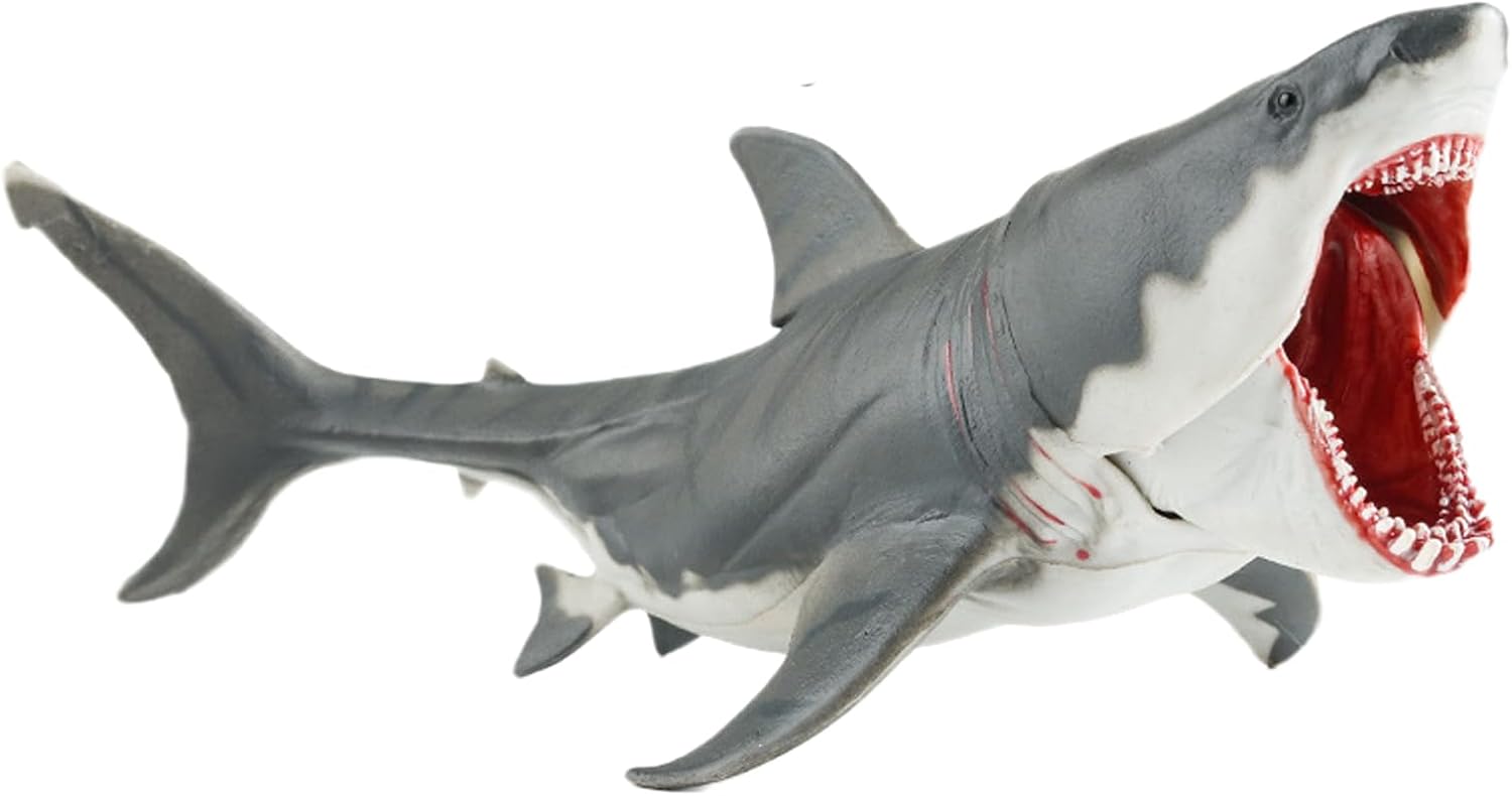 Amazon.com: AENIMELY Realistic Megalodon Shark Toy – Movable Jaw Ocean ...
