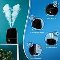 Amazon.com: Everlasting Comfort Ultrasonic Cool Mist Humidifier for ...