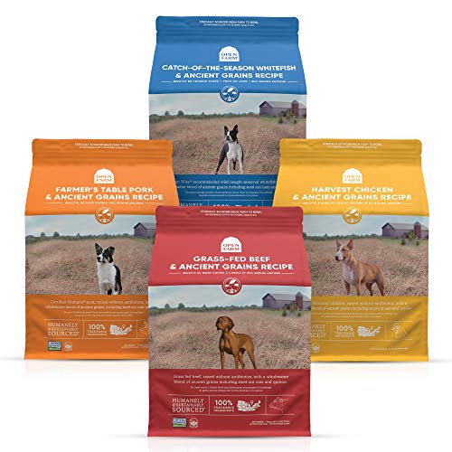 Unleash Your Pup's Health with Farms Dog Food: Top 10 Picks Reviewed ...