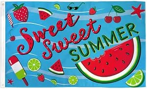 Amazon.com : Sweet Summer Flag 3x5ft - For Summer Home Decor, Parties ...