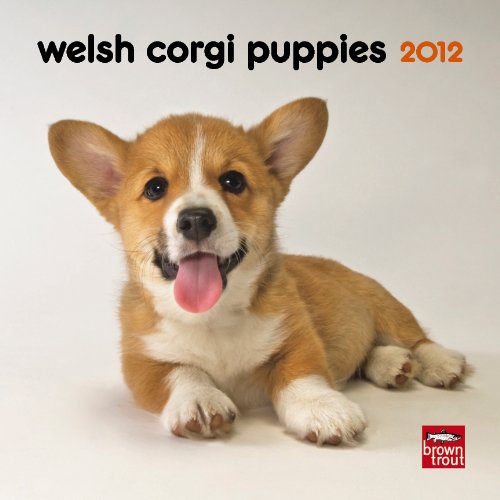 Welsh Corgi Puppies 2012 Calendar: Browntrout Publishers: 9781421678993 ...