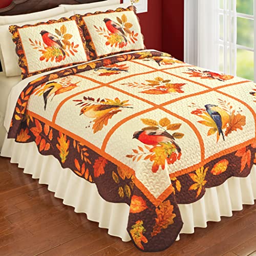 The 30 Best Collections Etc Quilts of 2026 [Verified] - Cherry Picks