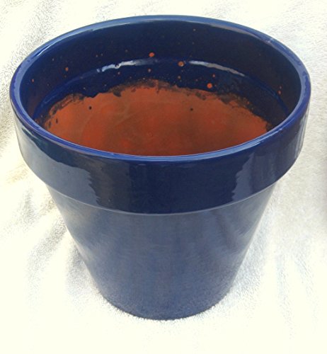 Amazon.com: Cobalt blue 8" outdoor flower pot. : Patio, Lawn & Garden