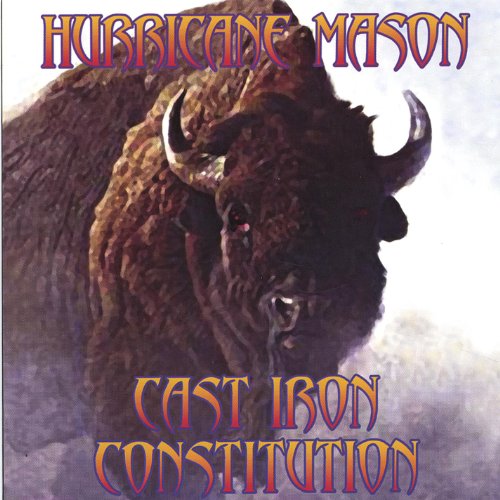 Amazon.com: Cast Iron Constitution : Hurricane Mason: Digital Music