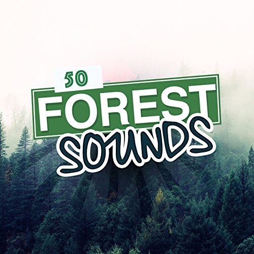 Play 50 Forest Sounds by Natural Forest Sounds on Amazon Music