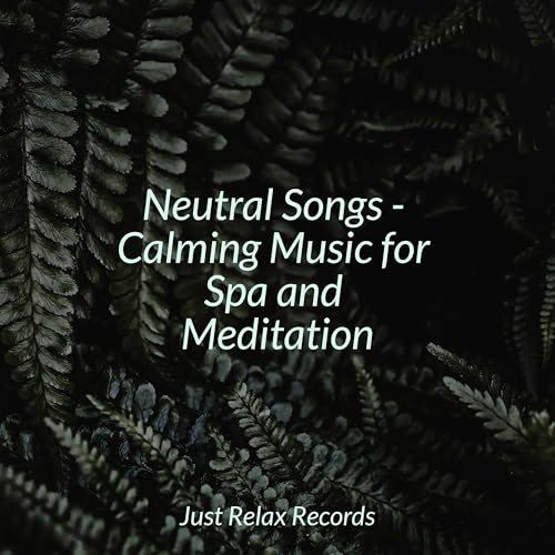 Neutral Songs - Calming Music for Spa and Meditation by Thunderstorm ...