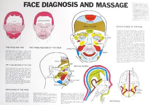 Face Diagnosis and Massage: Jan van Baarle: 9789491974212: Amazon.com ...
