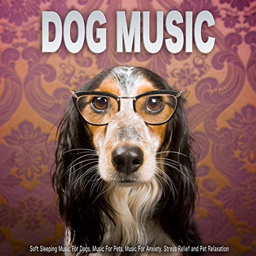 Soothing Sleeping Music for Pets song by Dog Music Dreams, Sleeping ...