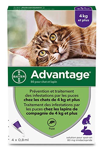 Anti Puces Chat & Anti Tiques - Découvrez les meilleurs Anti-parasites