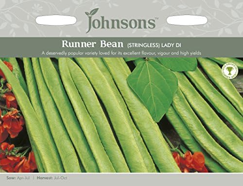 Johnsons 24339 Vegetable Seeds, Runner Bean Lady Di (Stringless ...