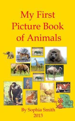 My First Picture Book of Animals (My First Picture Books 1) eBook ...