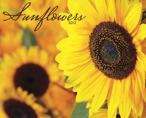 Sunflowers 2012 Calendar: Willowcreek: 9781607554066: Amazon.com: Books