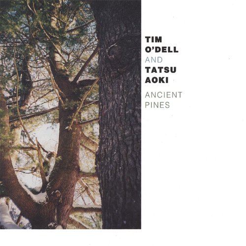 Amazon.com: Ancient Pines : Tim O'Dell & Tatsu Aoki: Digital Music
