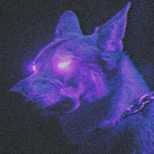 Amazon.co.jp: wolf mania : D1RTY: デジタルミュージック