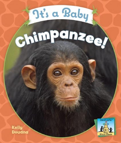 It's a Baby Chimpanzee! (Baby African Animals): Doudna, Kelly ...