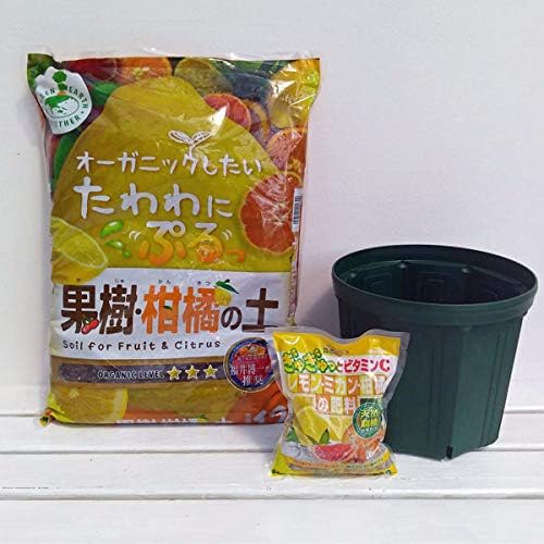 Amazon｜柑橘用：鉢栽培セット・スリット鉢8号CSM-240・土・肥料のセット｜栽培キット オンライン通販