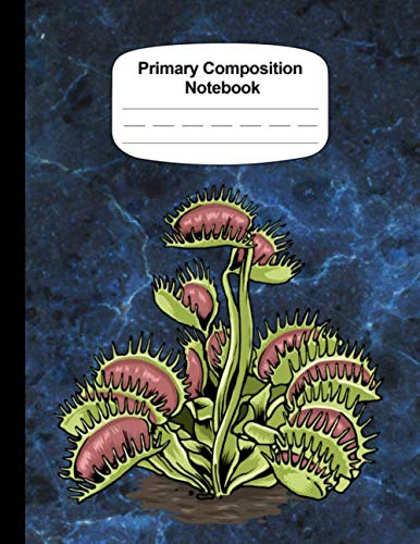 Amazon.com: Primary Story Journal Kindergarten Composition Notebook ...