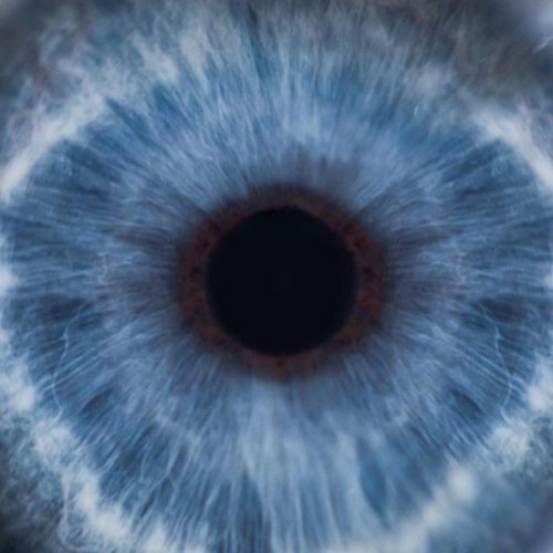 Amazon.com: Welkom To la Vida : Solo Sánchez: Digital Music