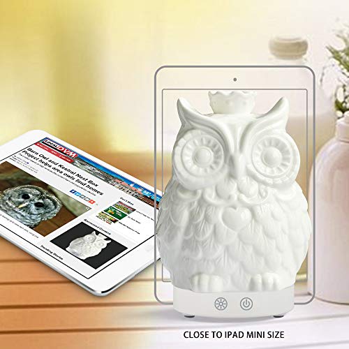 The 29 Best Owl Diffusers of 2024 [Verified] - Cherry Picks