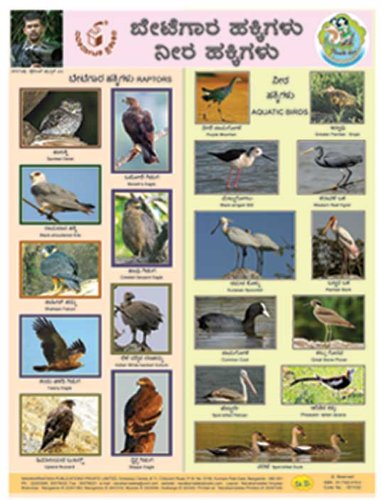 Betegara Hakkigalu, Neera Hakkigalu: Navakarnataka: 9788173029165 ...