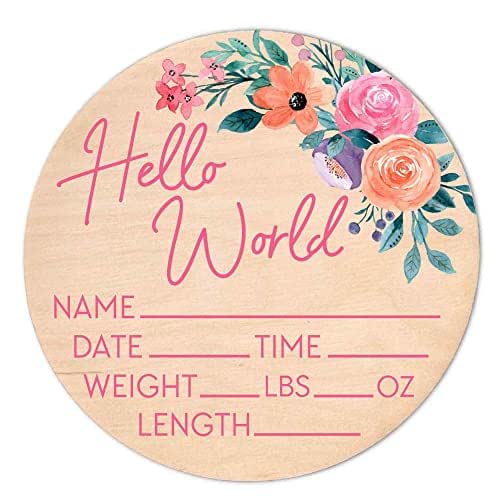 Amazon.com: Hello World Newborn Sign - Baby Name Birth Announcement ...