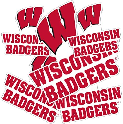 Amazon.com: Desert Cactus University of Wisconsin Sticker Badgers UW ...