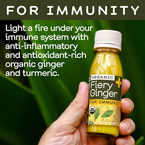 Greenhouse Juice Fiery Ginger Booster Shot Lot de 3 bouteilles en verre ...