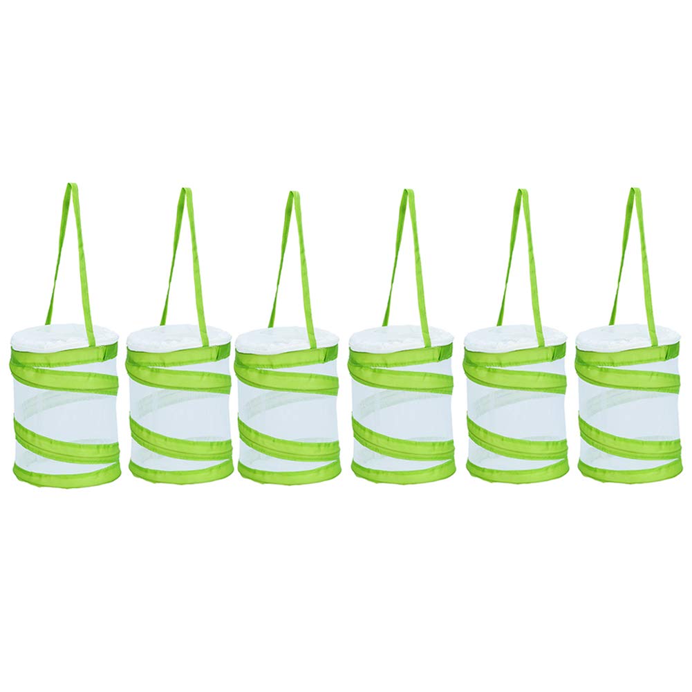 Snapklik.com : Mini Butterfly Habitat, Insect Mesh Cage, Bug Terrarium ...