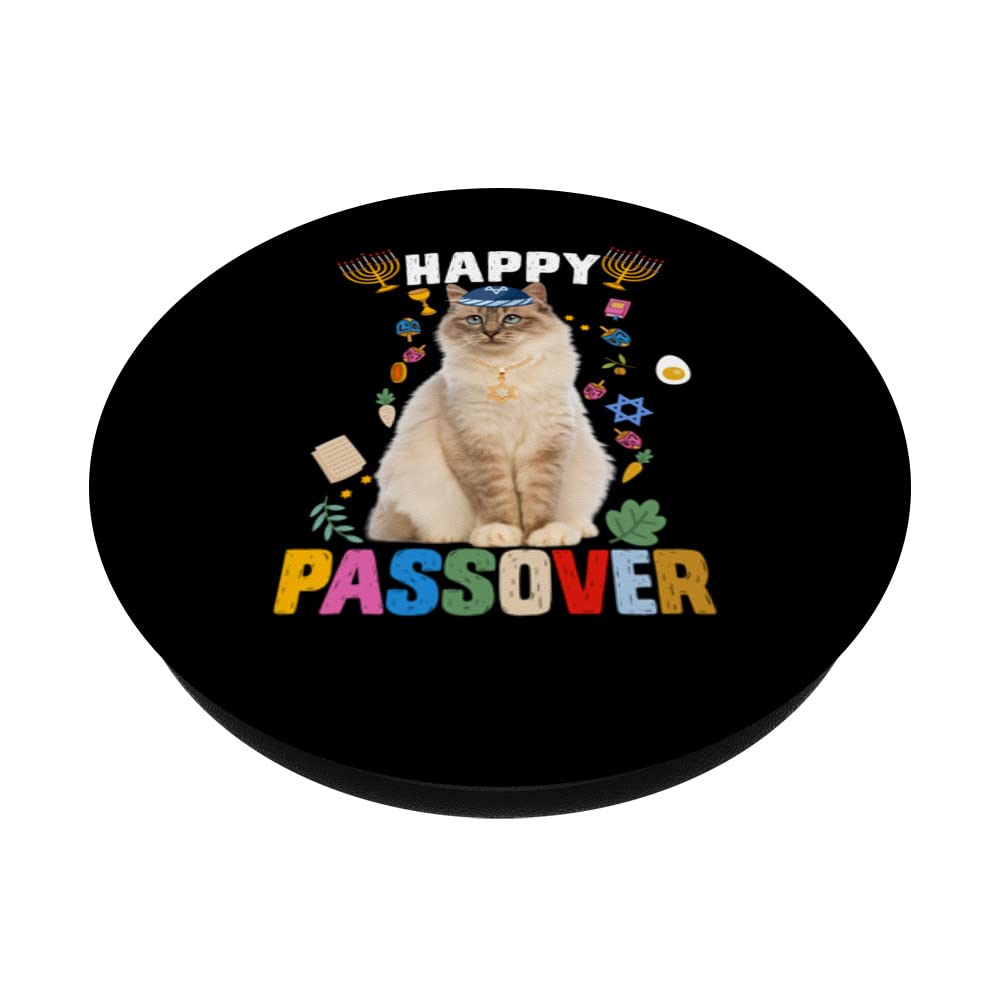 Yarmulke Cat