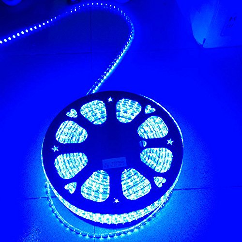 Amazon.com: 50M Blue 110V 120V 3528 SMD Flexible Flat LED Strip Rope ...