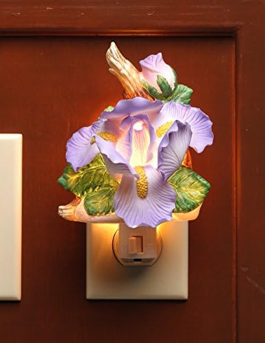 Cosmos Gifts 2130 Fine Porcelain Lighted Iris Plug in Night Light, 6" H ...