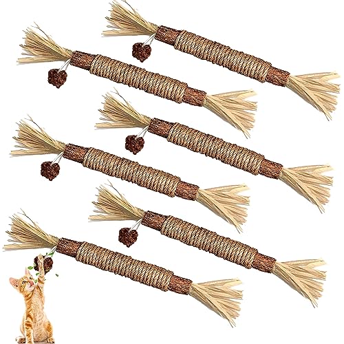 Katze Weed – Die 15 besten Produkte im Vergleich & Angebote ...